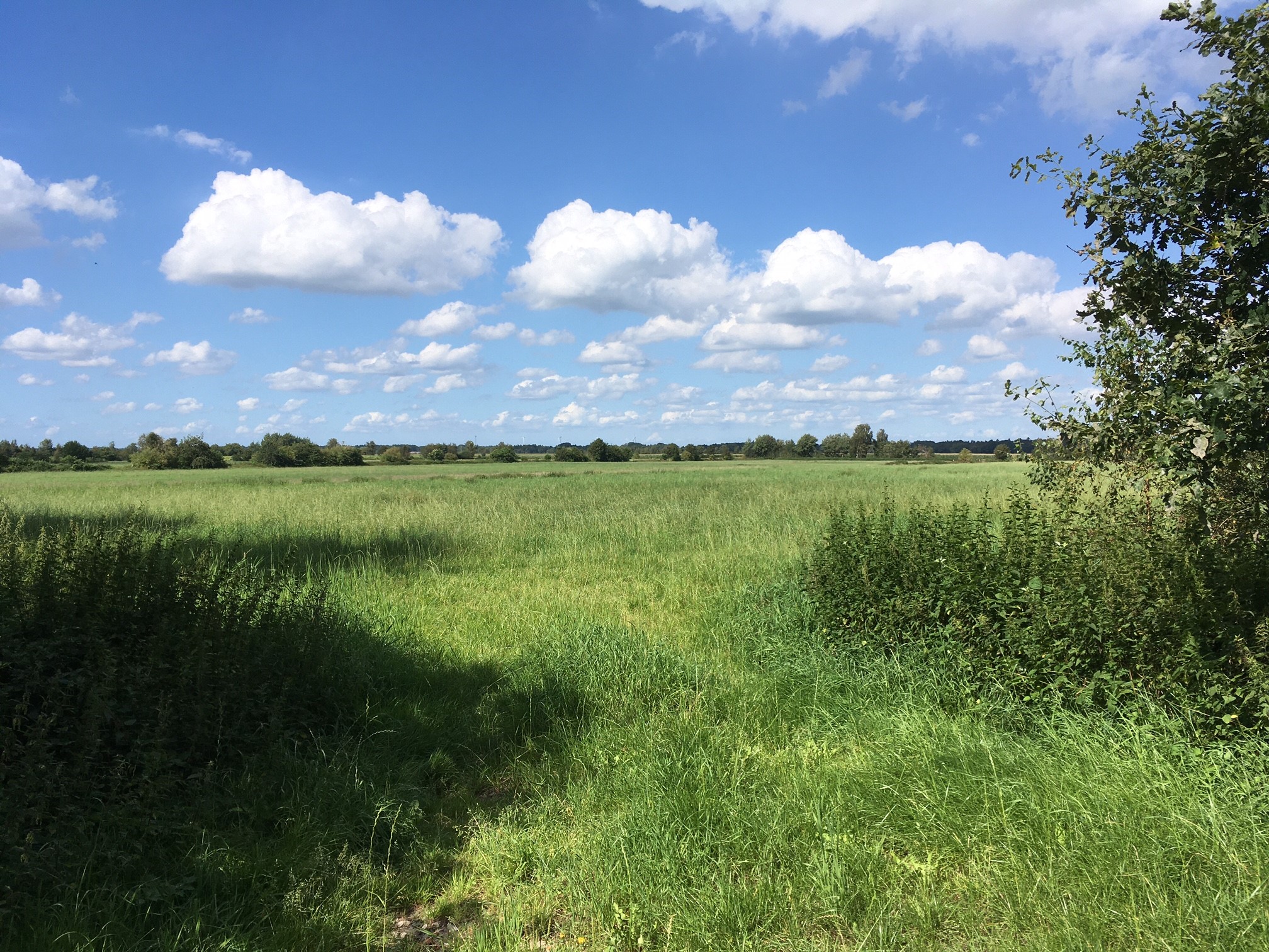 Projektaufruf: Ideen für die Entwicklung der LEADER-Region Moorexpress ...