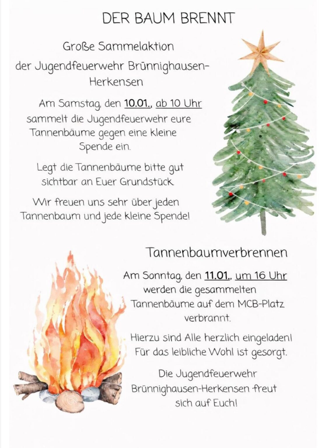 JFW Tannenbaum – Niedersächsische LandNews